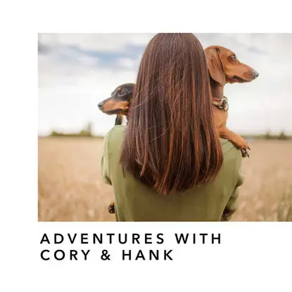 The Best Pet Photo Album - Dog Photo Album