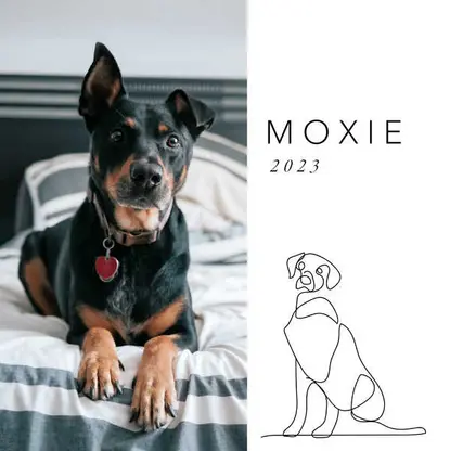 The Best Pet Photo Album - Dog Photo Album